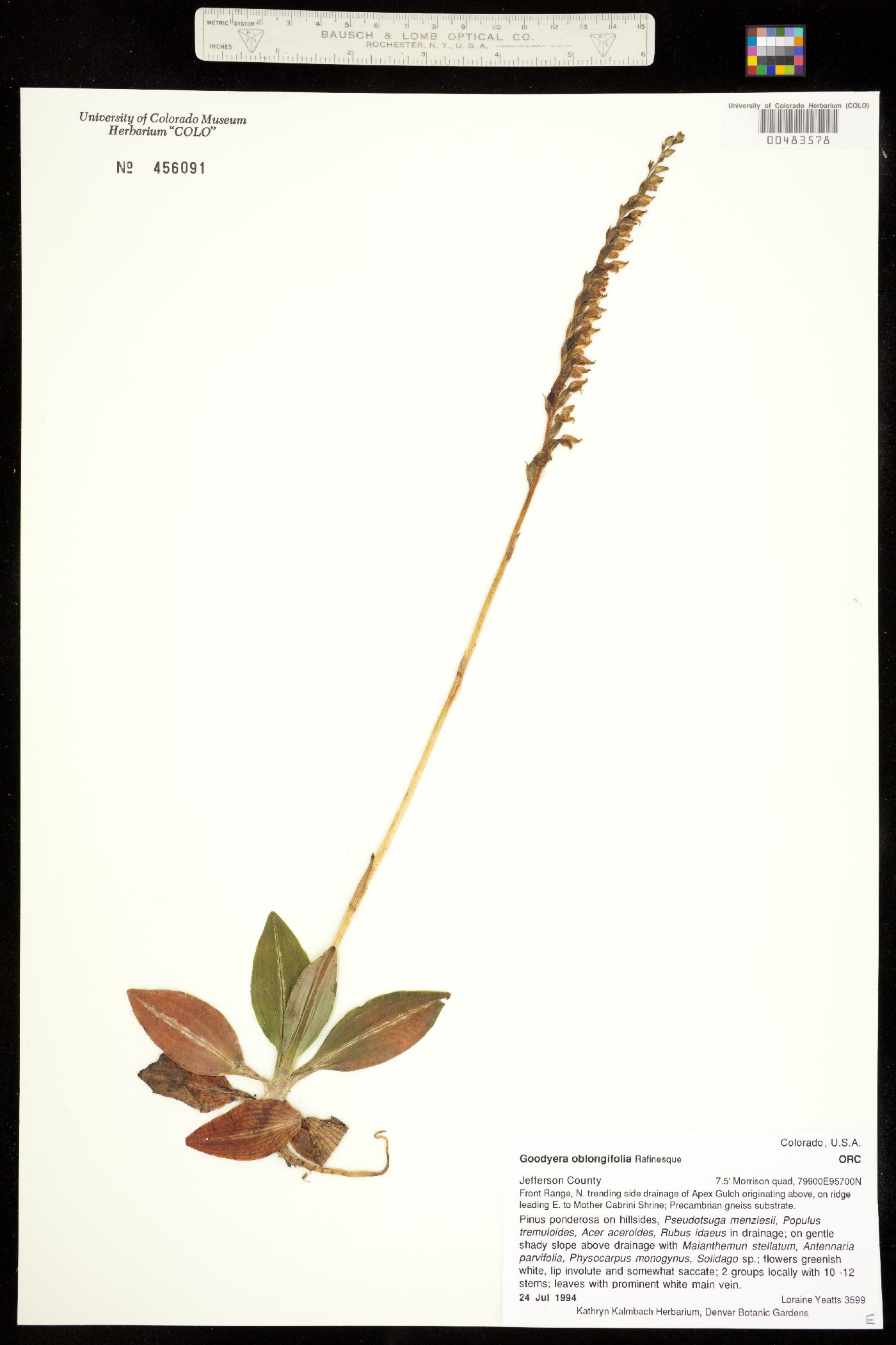 SEINet Portal Network Detailed Collection Record Information